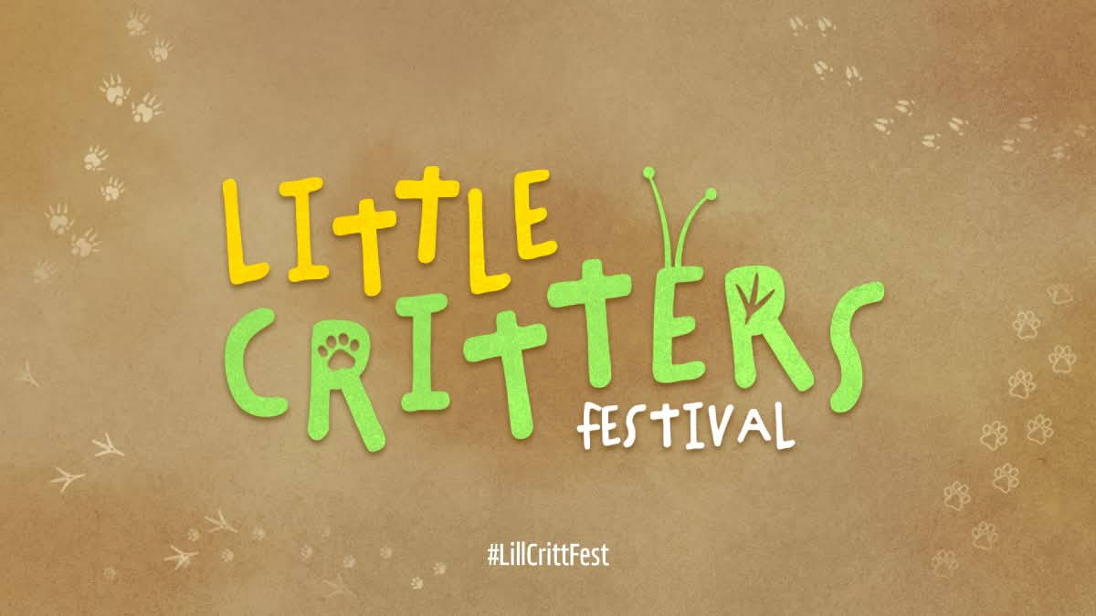 Welcome to the Little Critters Festival | Microids